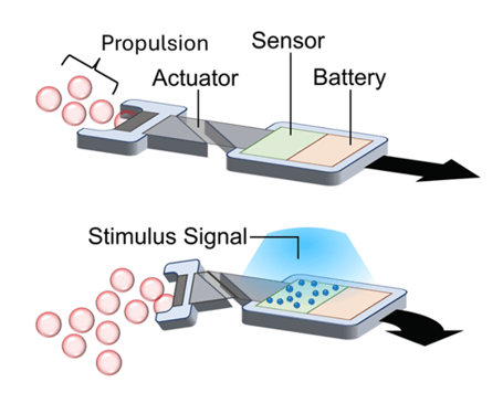 Research Area 5: Colloidal Electronics and Robotics – Strano Research Group