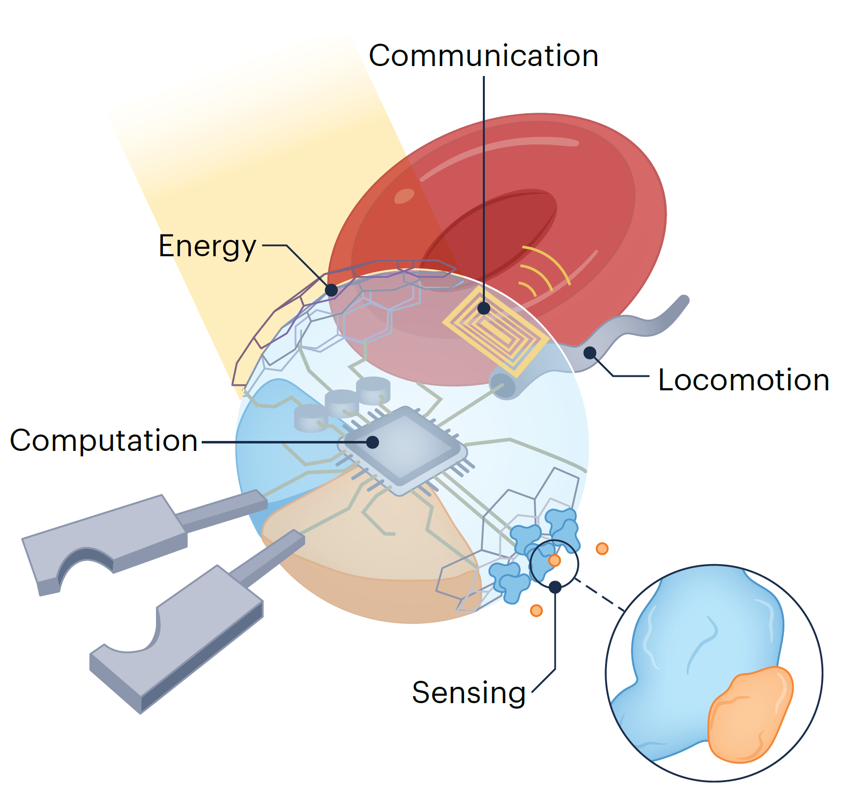Research Overview – Strano Research Group